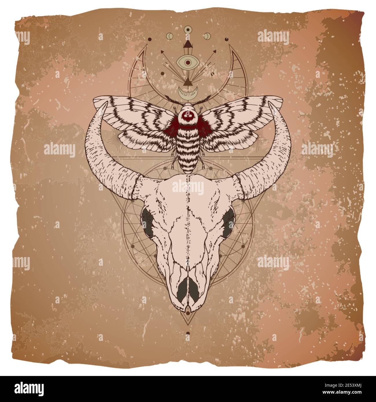 Vector illustration with hand drawn bull skull, dead head moth and ...