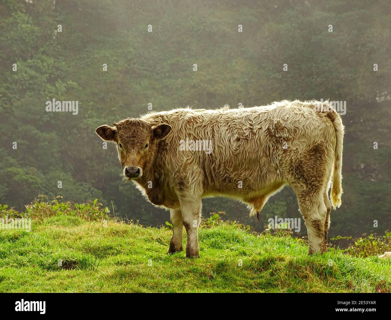 Destination spots hi-res stock photography and images - Alamy