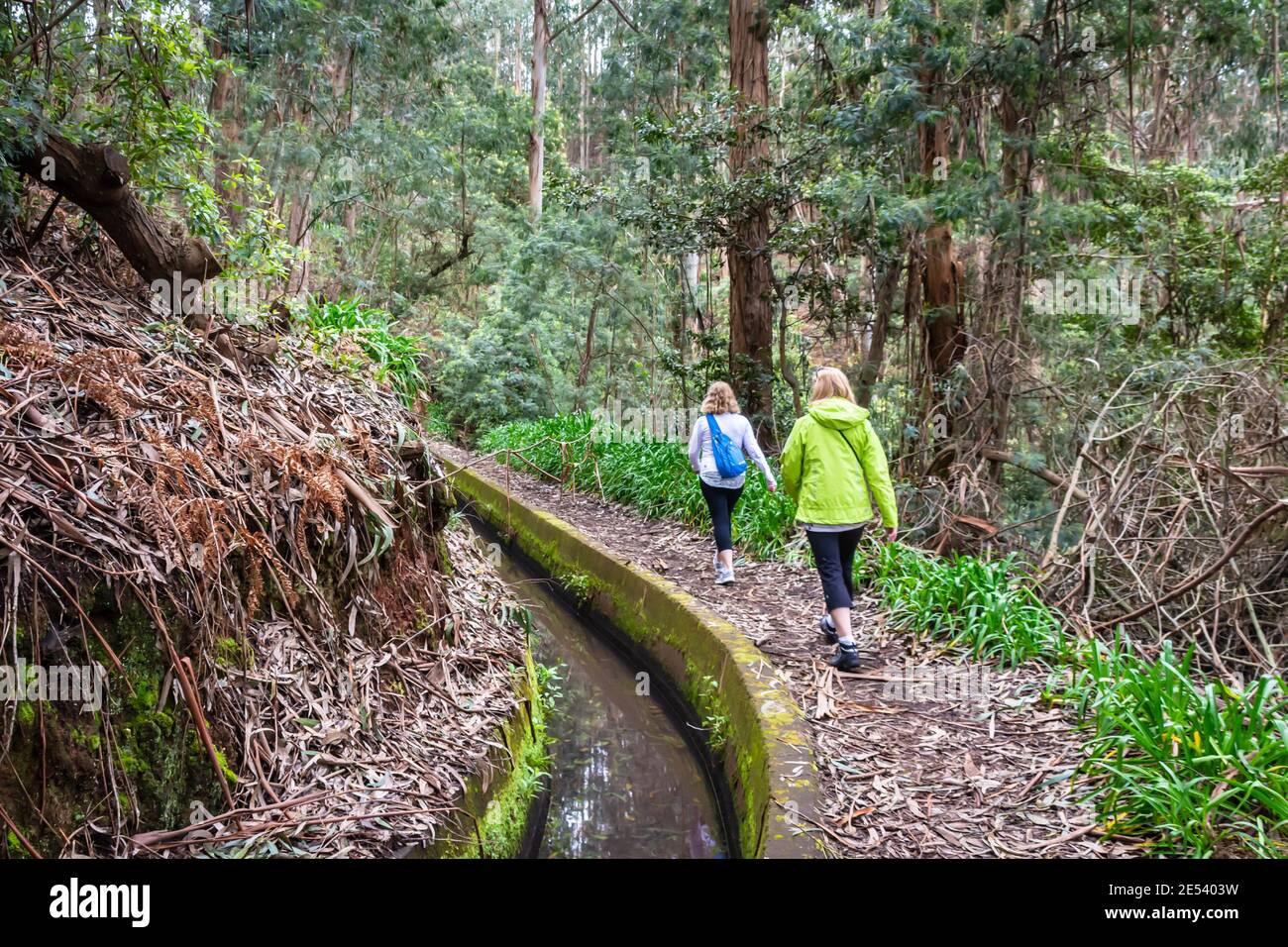 Levada irrigation canal madeira hi-res stock photography and images - Alamy