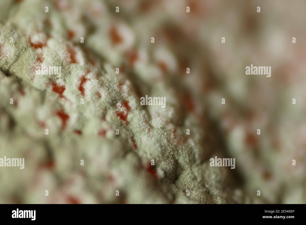 Macro mold. Close up moldy fruit. Abstract background. Selective focus ...