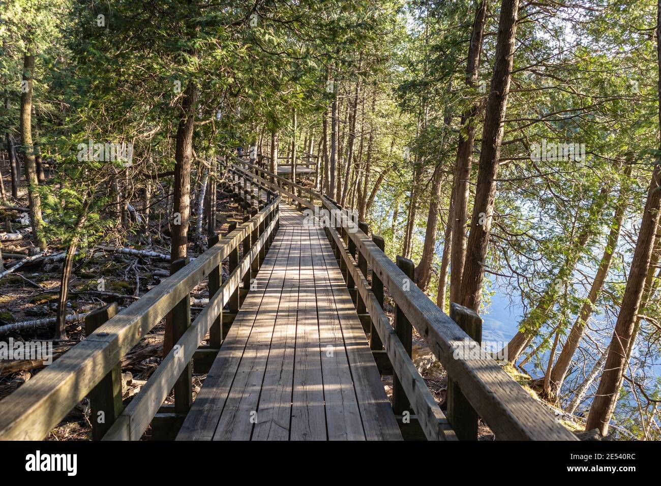 Crawford Lake Boardwalk Stock Photo - Alamy