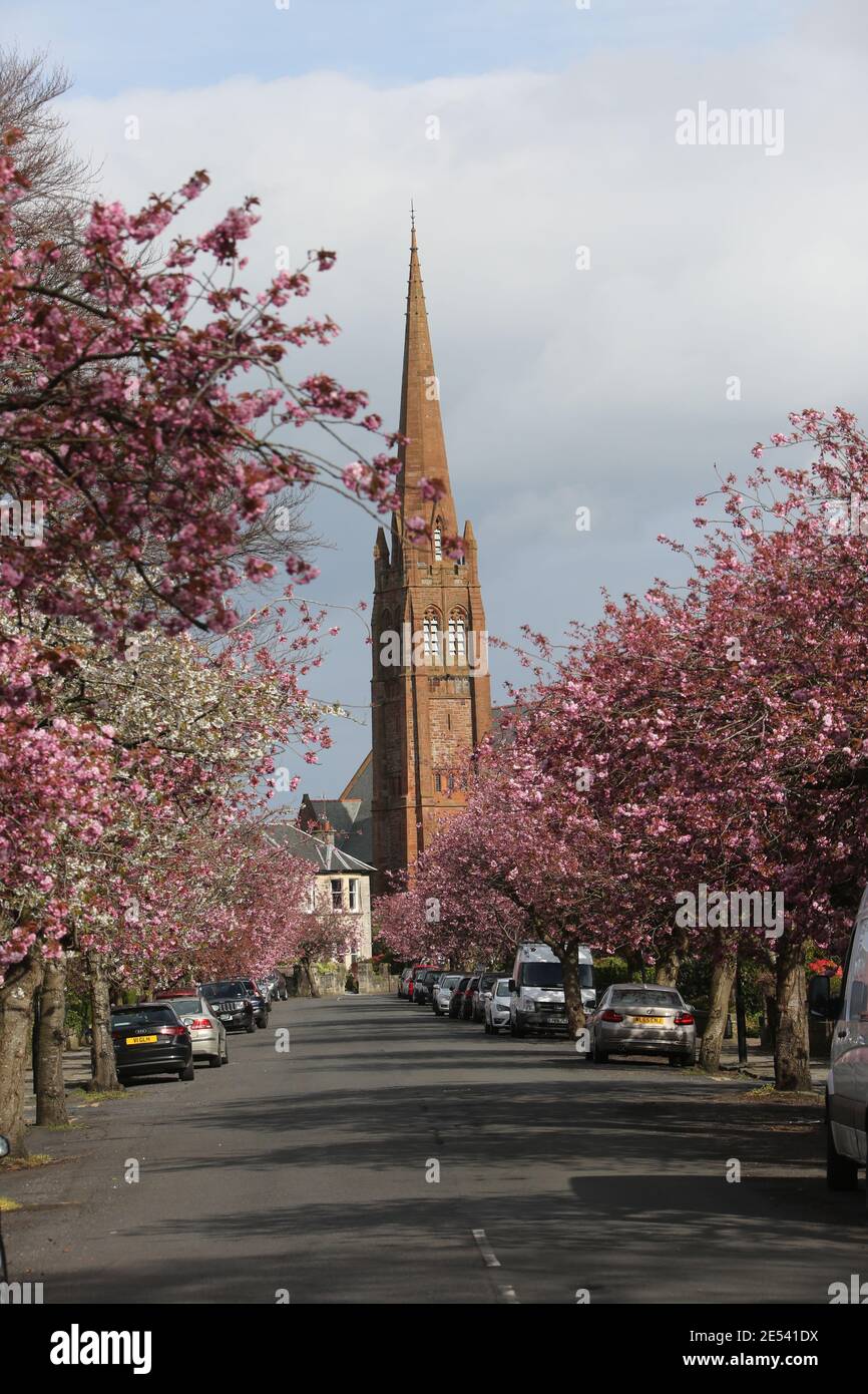 Park Circus, Ayr , Ayrshire, Scotland Spring Blossom & St Andrews ...