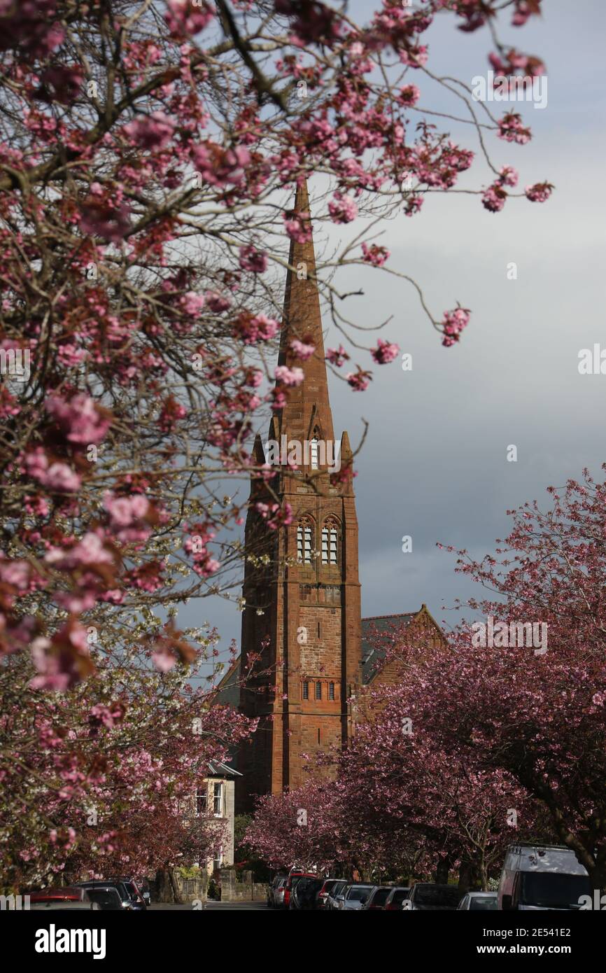 Park Circus, Ayr , Ayrshire, Scotland Spring Blossom & St Andrews ...