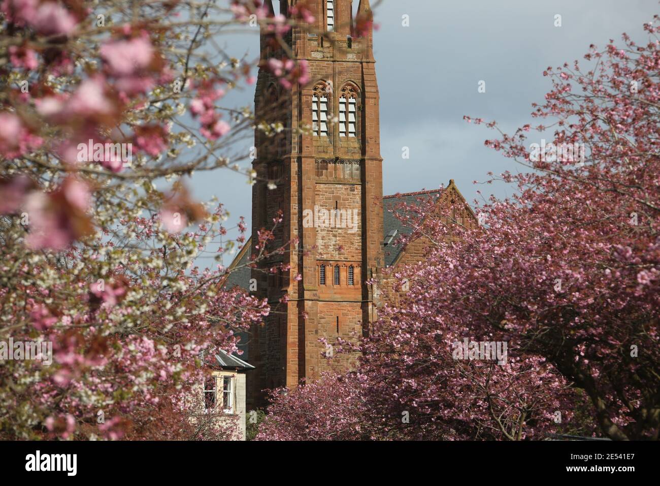Park Circus, Ayr , Ayrshire, Scotland Spring Blossom & St Andrews ...