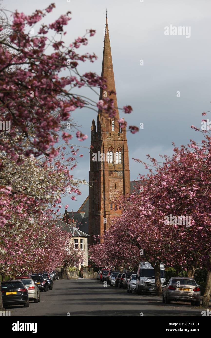 Park Circus, Ayr , Ayrshire, Scotland Spring Blossom & St Andrews ...