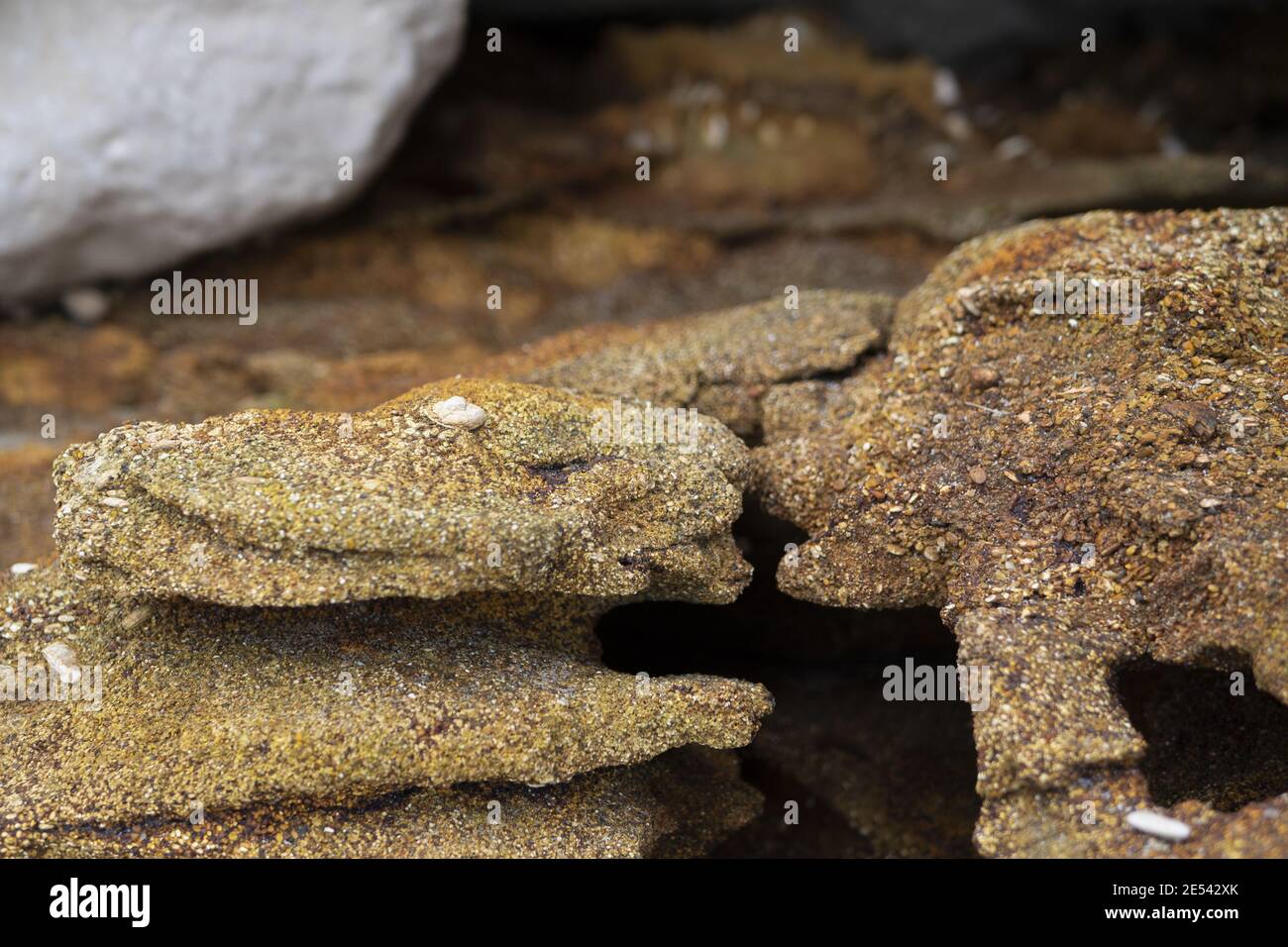 Sand iron hi-res stock photography and images - Alamy