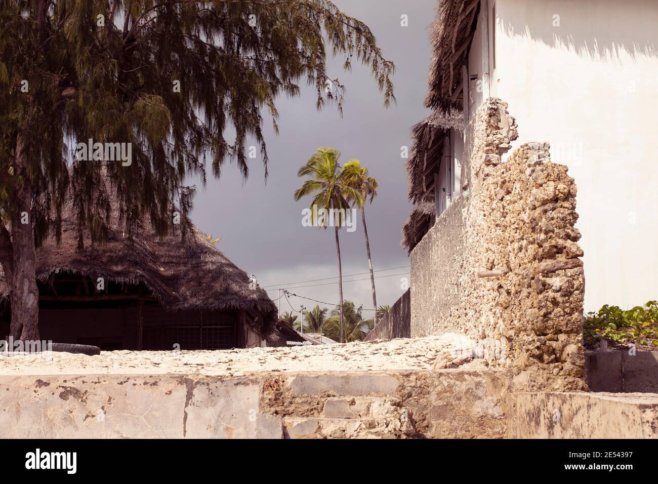 Solitude palm tree in african town. Vegetation and architecture on ...