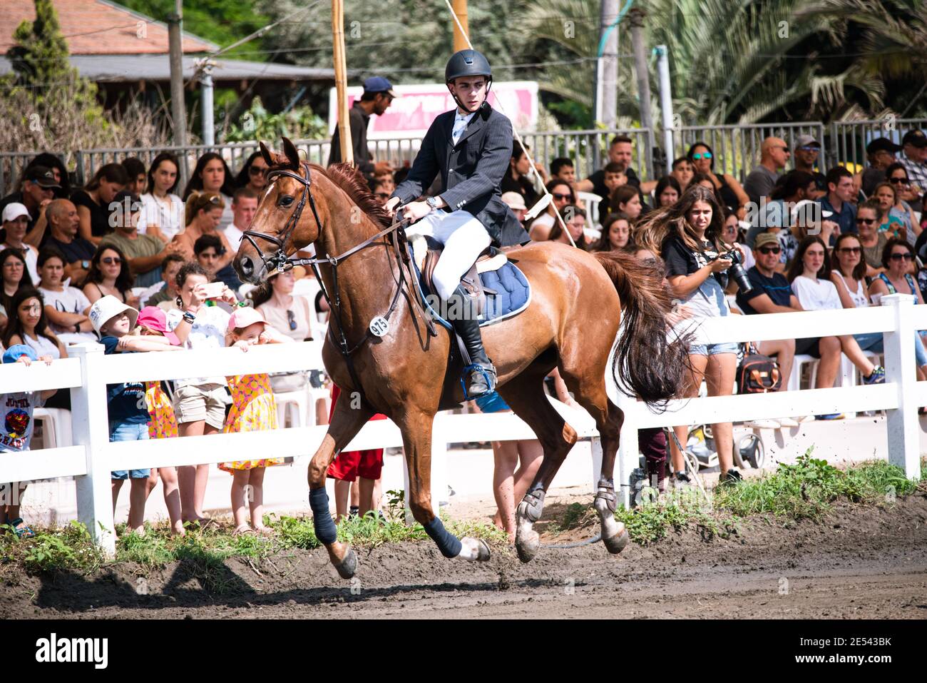 Israel Horse Jumping Championship 2019 Stock Photo - Alamy