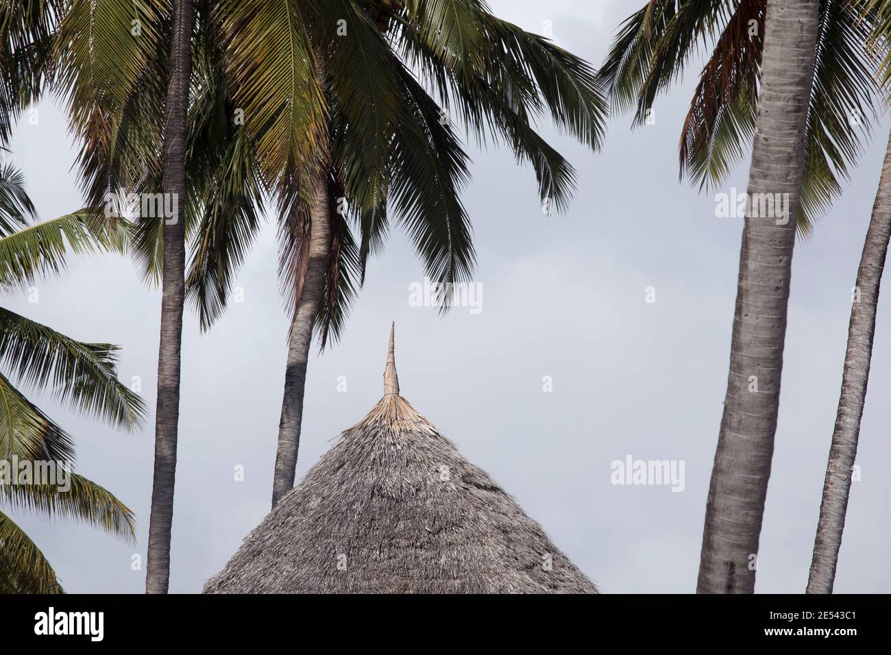 Tropical straw roof hut hi-res stock photography and images - Alamy