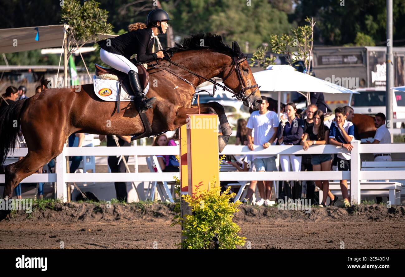 Israel Horse Jumping Championship 2019 Stock Photo - Alamy