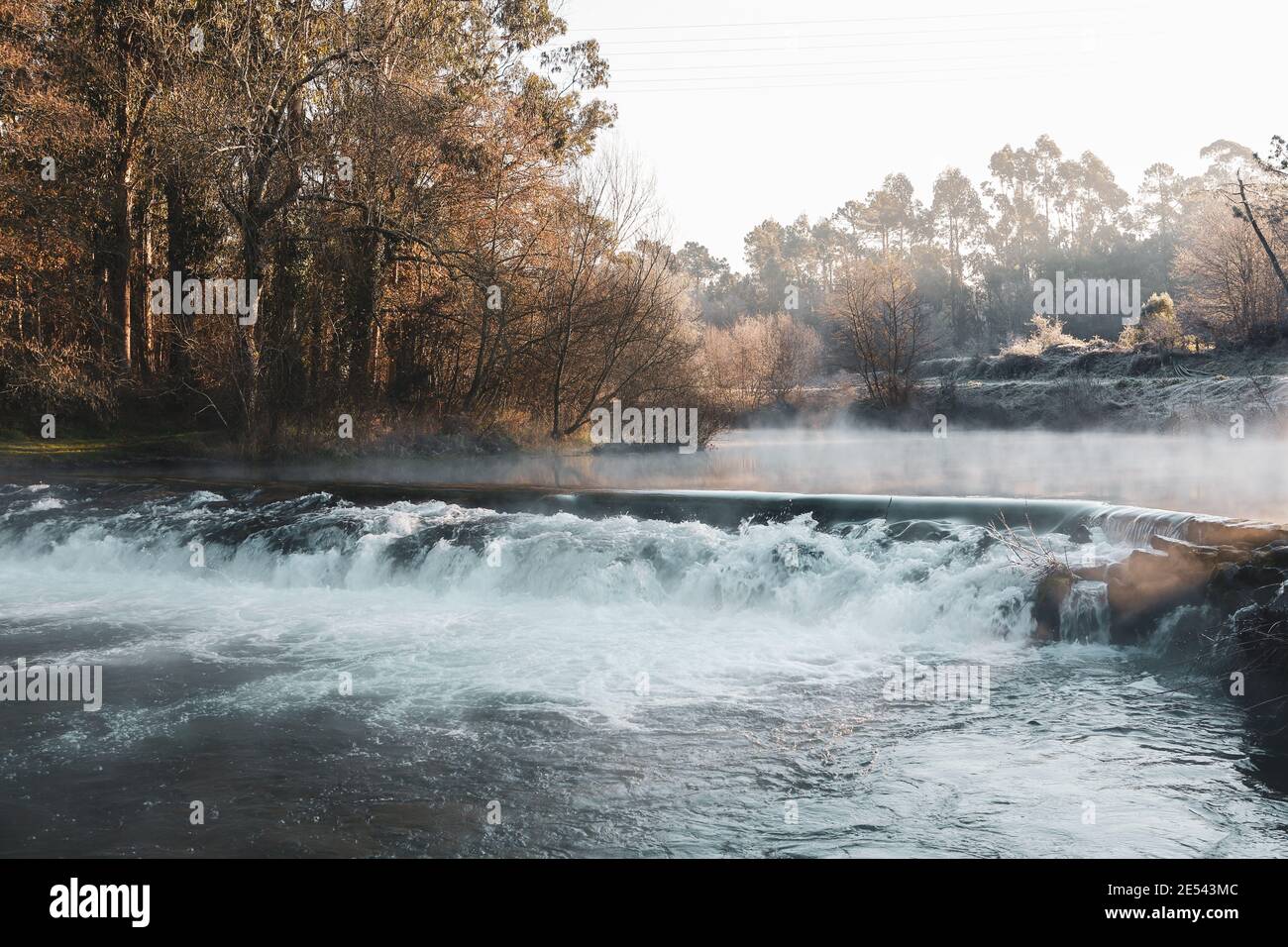Beautiful shot of steam rising up off the river with the green forest ...