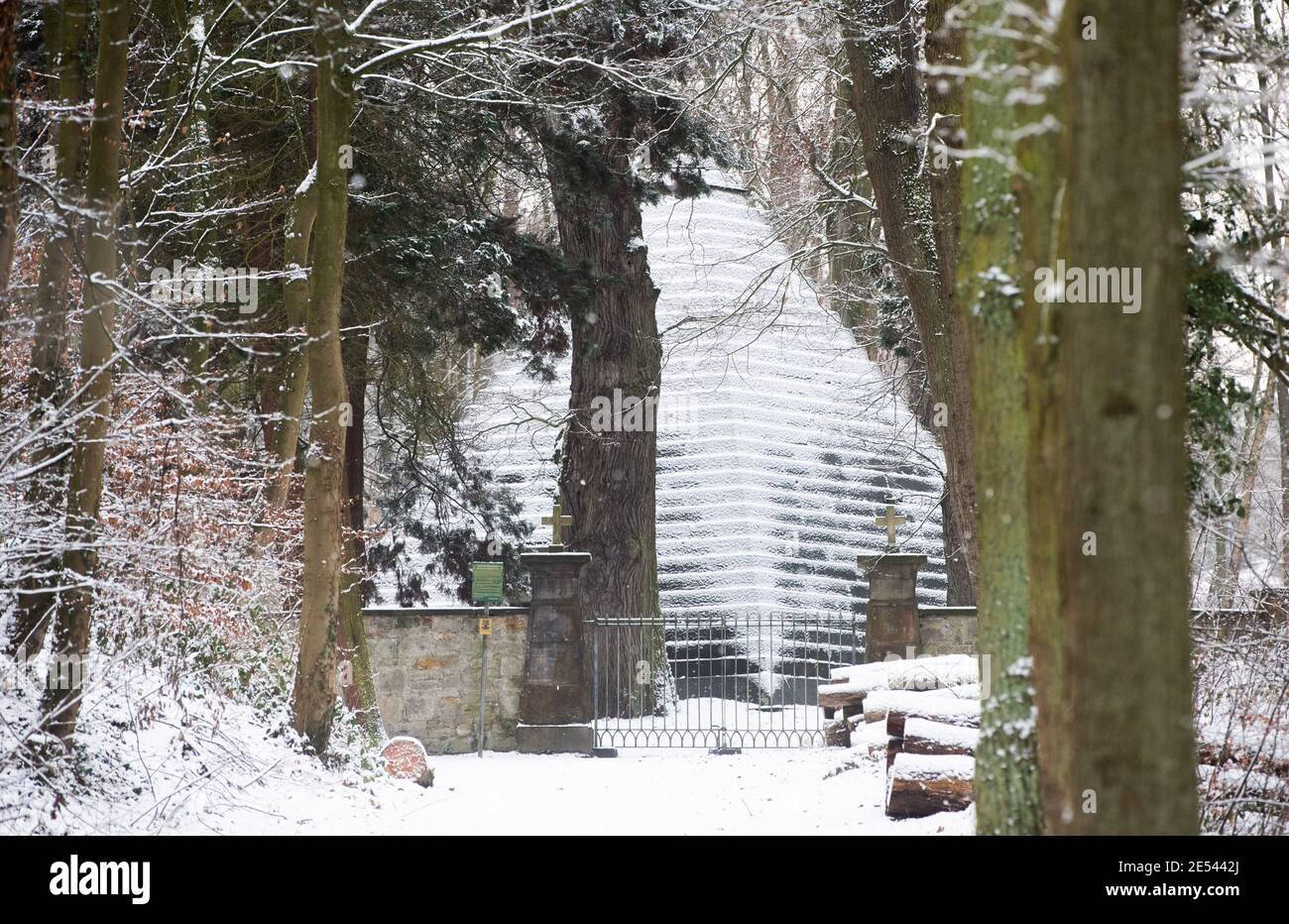 Georg laves hi-res stock photography and images - Alamy