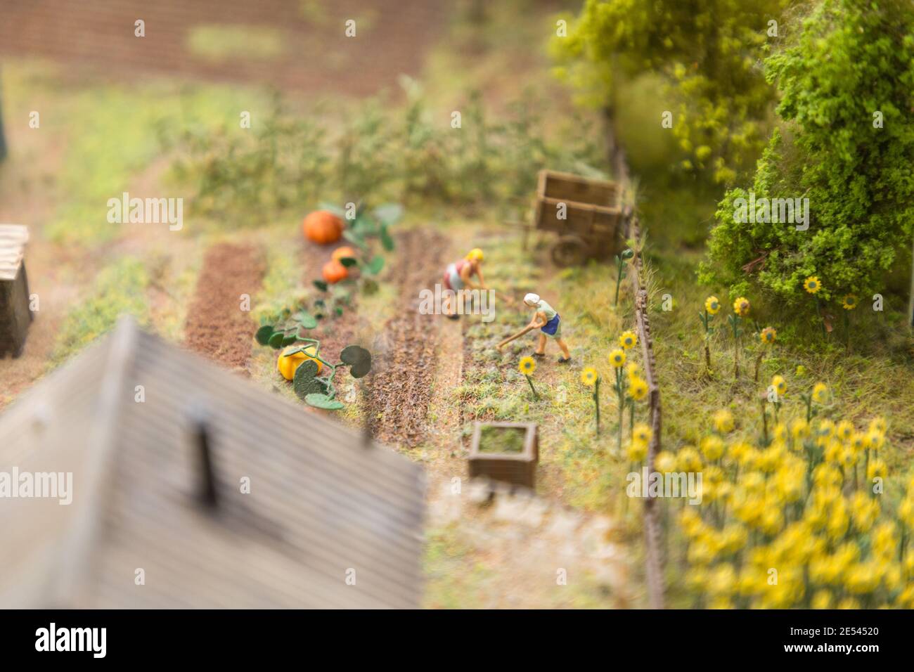 Layout of the city and small figures. Agricultural work on vegetable ...