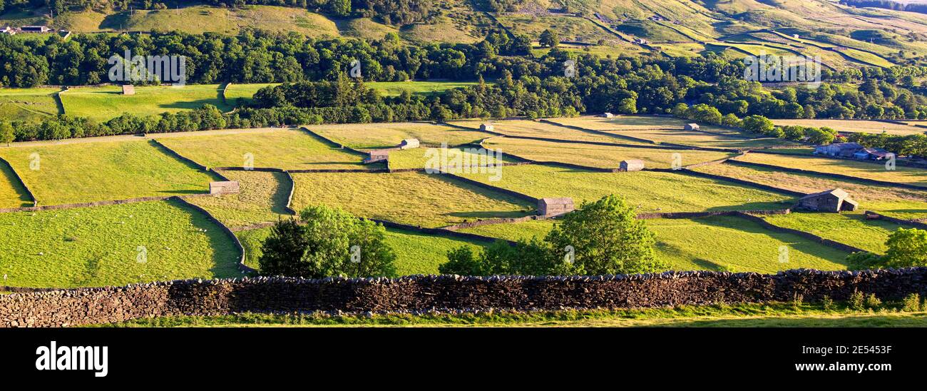 Wide panoramic view of the hay meadows, field barns and dry stone walls ...