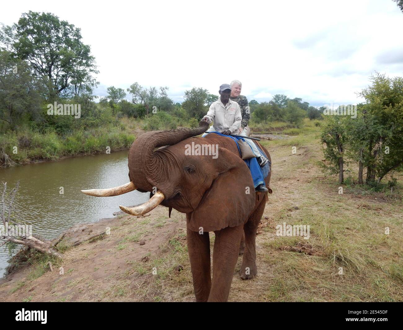 BANGKOK, THAILAND - May 16, 2019: Riding an Elephant at the Elephant ...