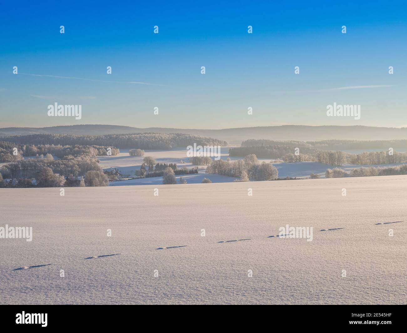 Winter landscape in the Ore Mountains in Saxony Stock Photo - Alamy