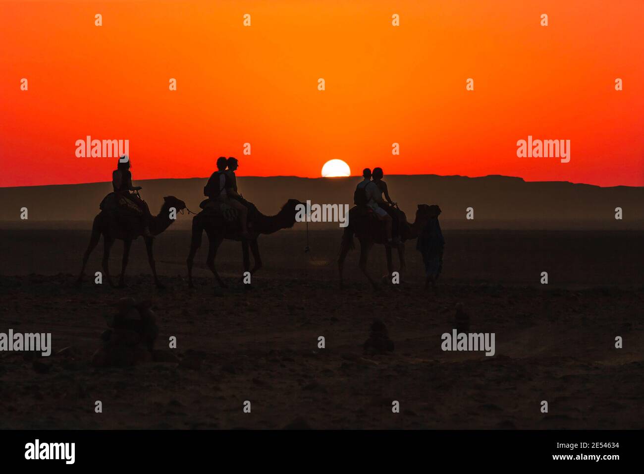 Camel ride at sunset (Merzouga, Sahara Stock Photo - Alamy