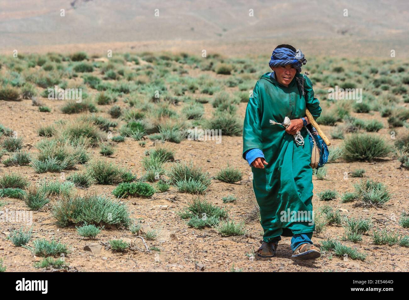Berber man hi-res stock photography and images - Alamy