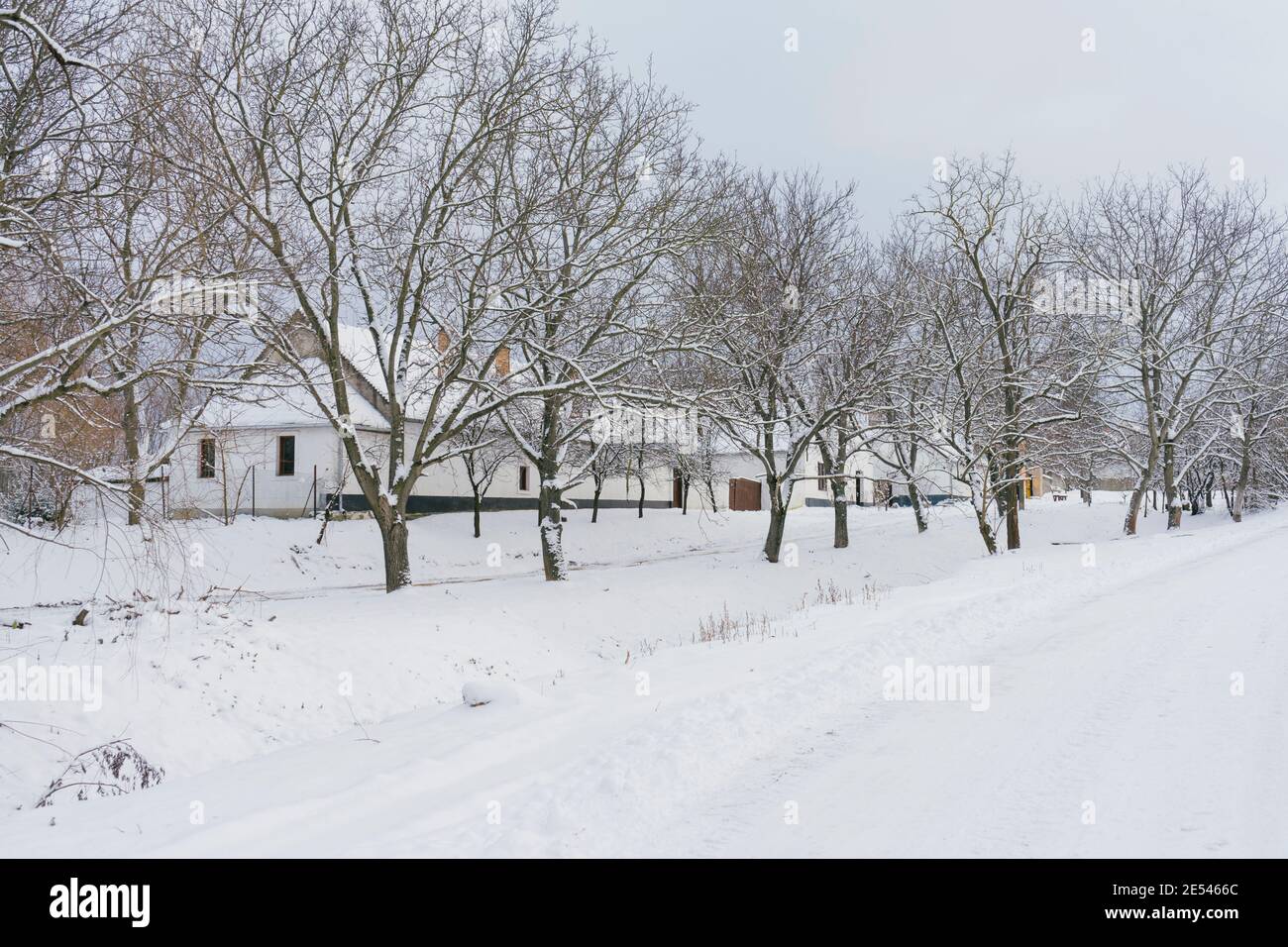Traditional houses in small village during heavy snow fall (Bakonyszucs ...