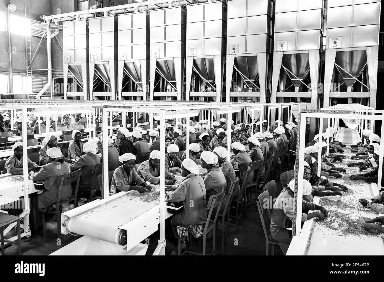 Coffee processing machine Black and White Stock Photos & Images - Alamy