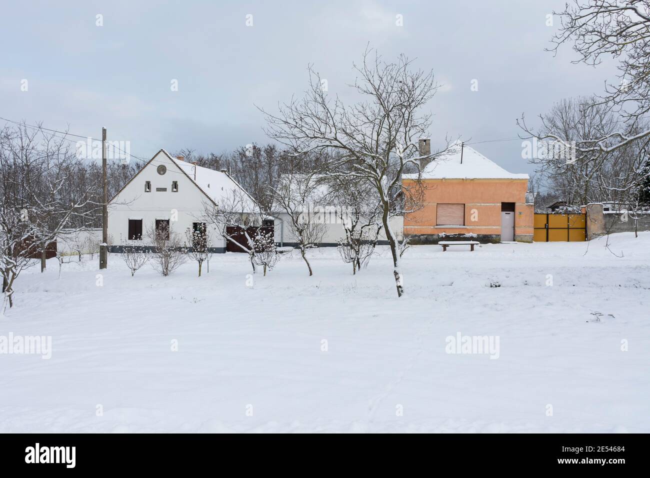 Traditional houses in small village during heavy snow fall (Bakonyszucs ...