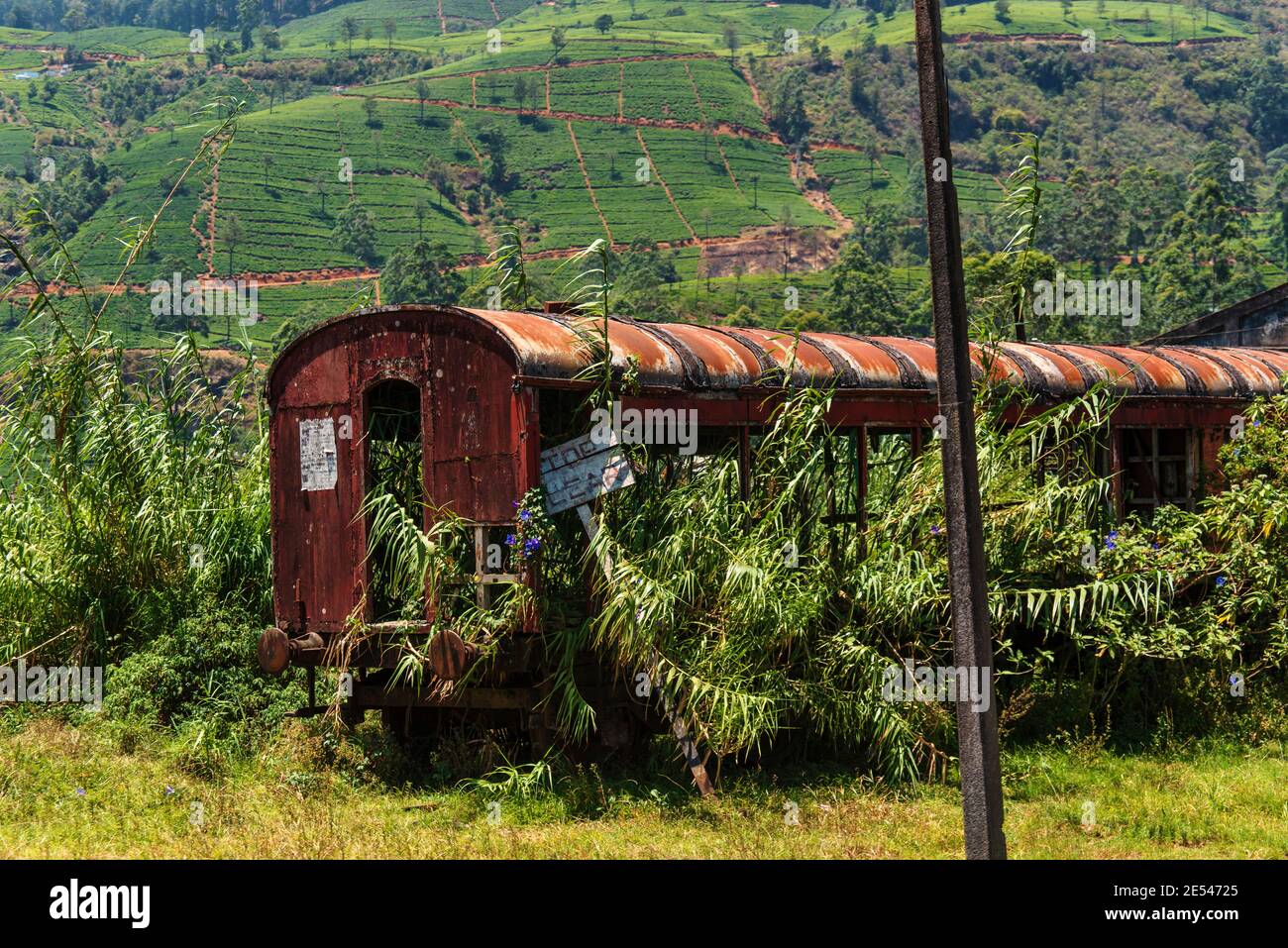 Lost Place. A red rusty train wreck overgrown and forgotten Stock Photo ...