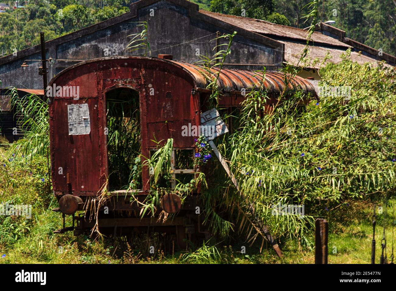 Lost Place. A red rusty train wreck overgrown and forgotten Stock Photo ...