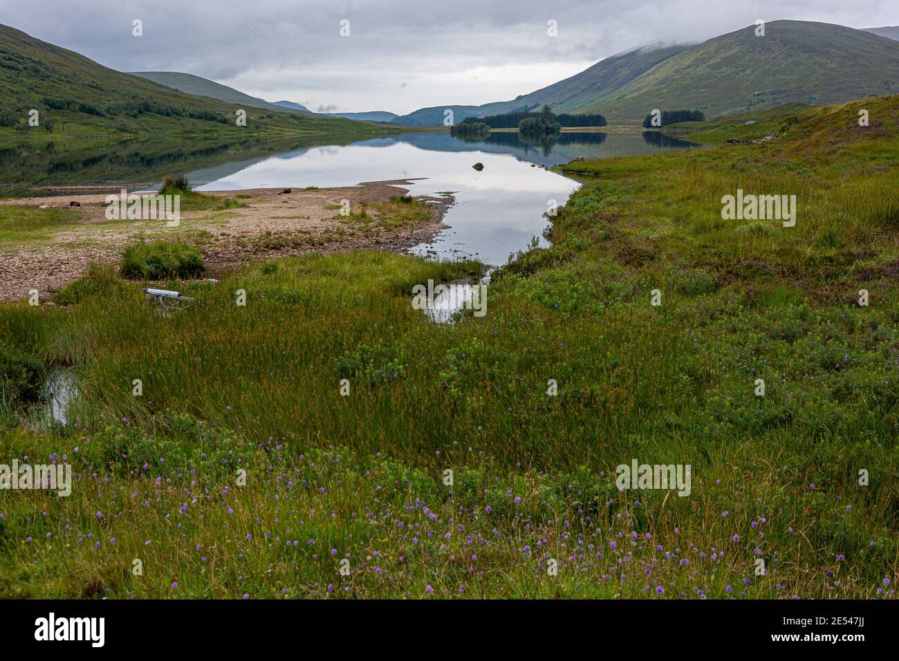 Strathcarron scotland loch hi-res stock photography and images - Alamy