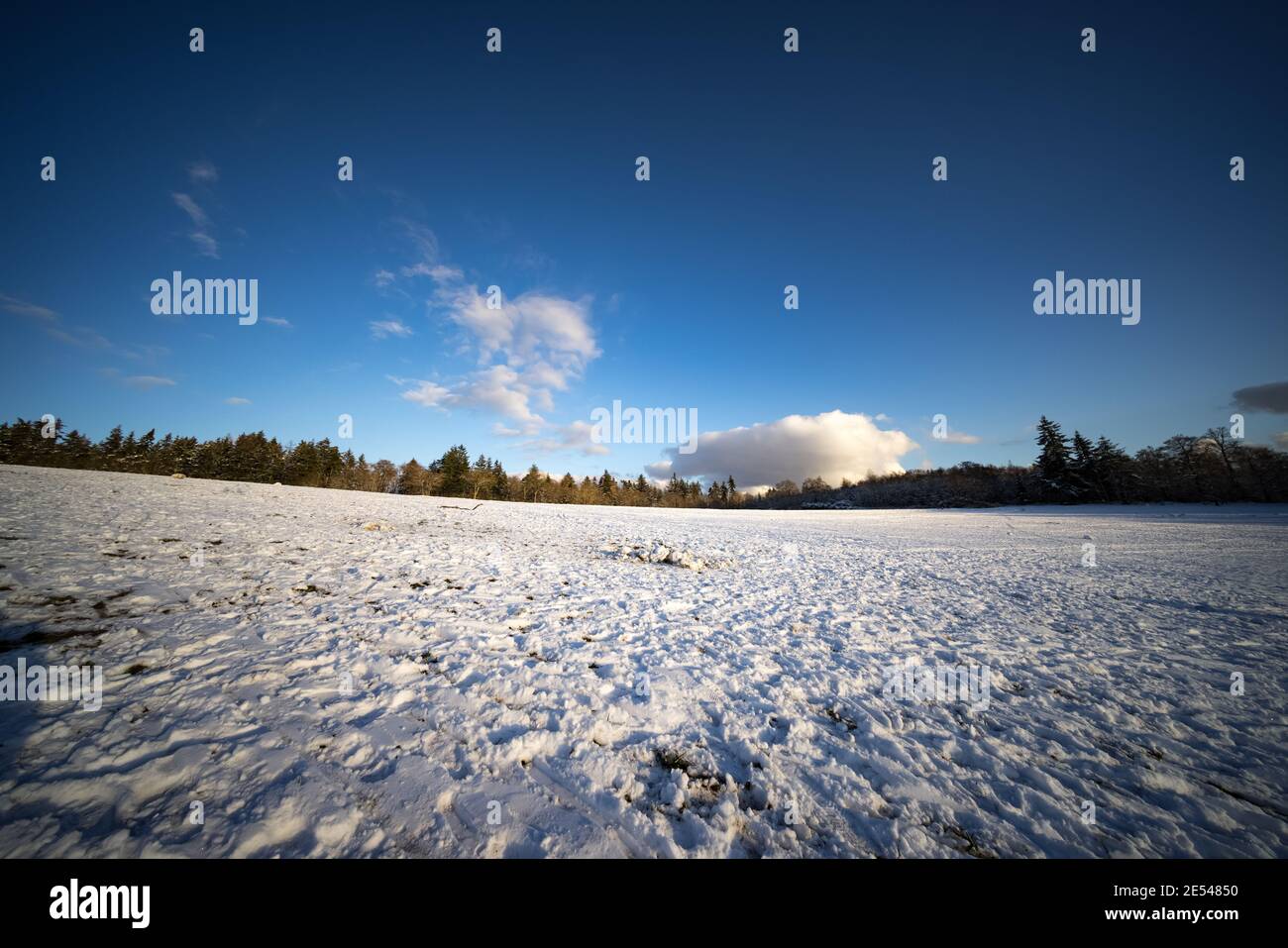 Mainz Winter High Resolution Stock Photography and Images - Alamy