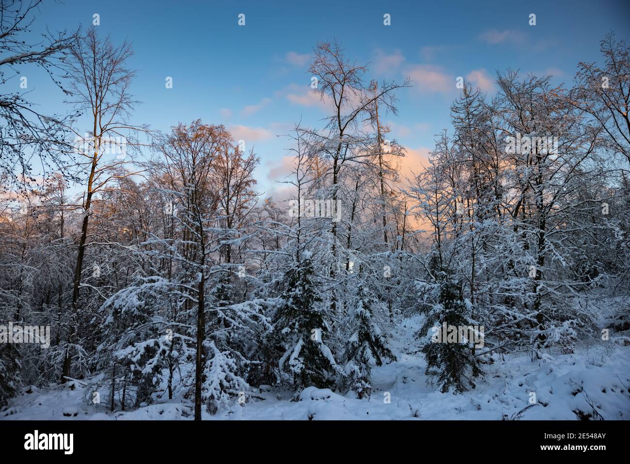 Winter Wonderland in Germany with snow Stock Photo - Alamy