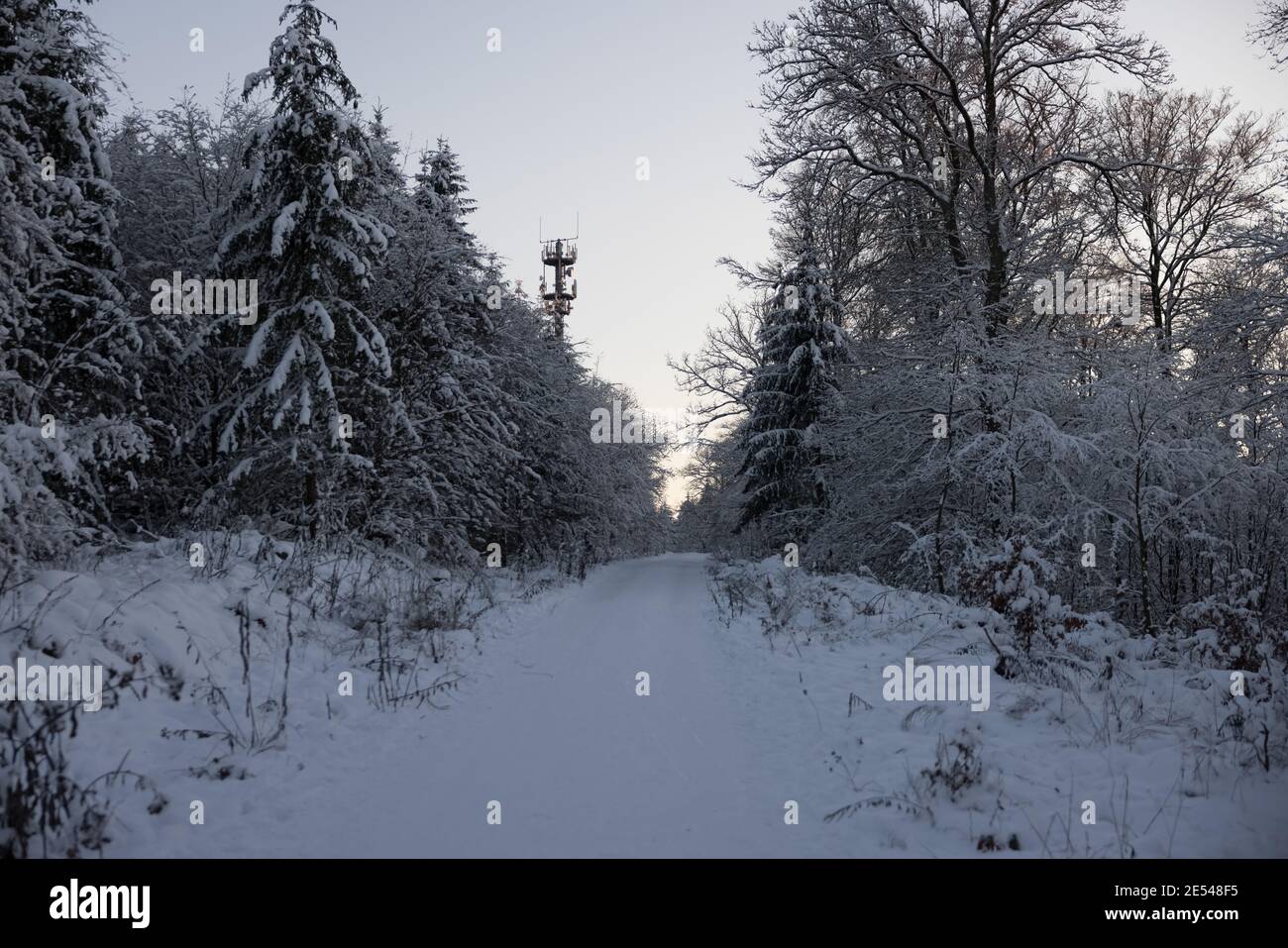 Winter Wonderland in Germany with snow Stock Photo - Alamy