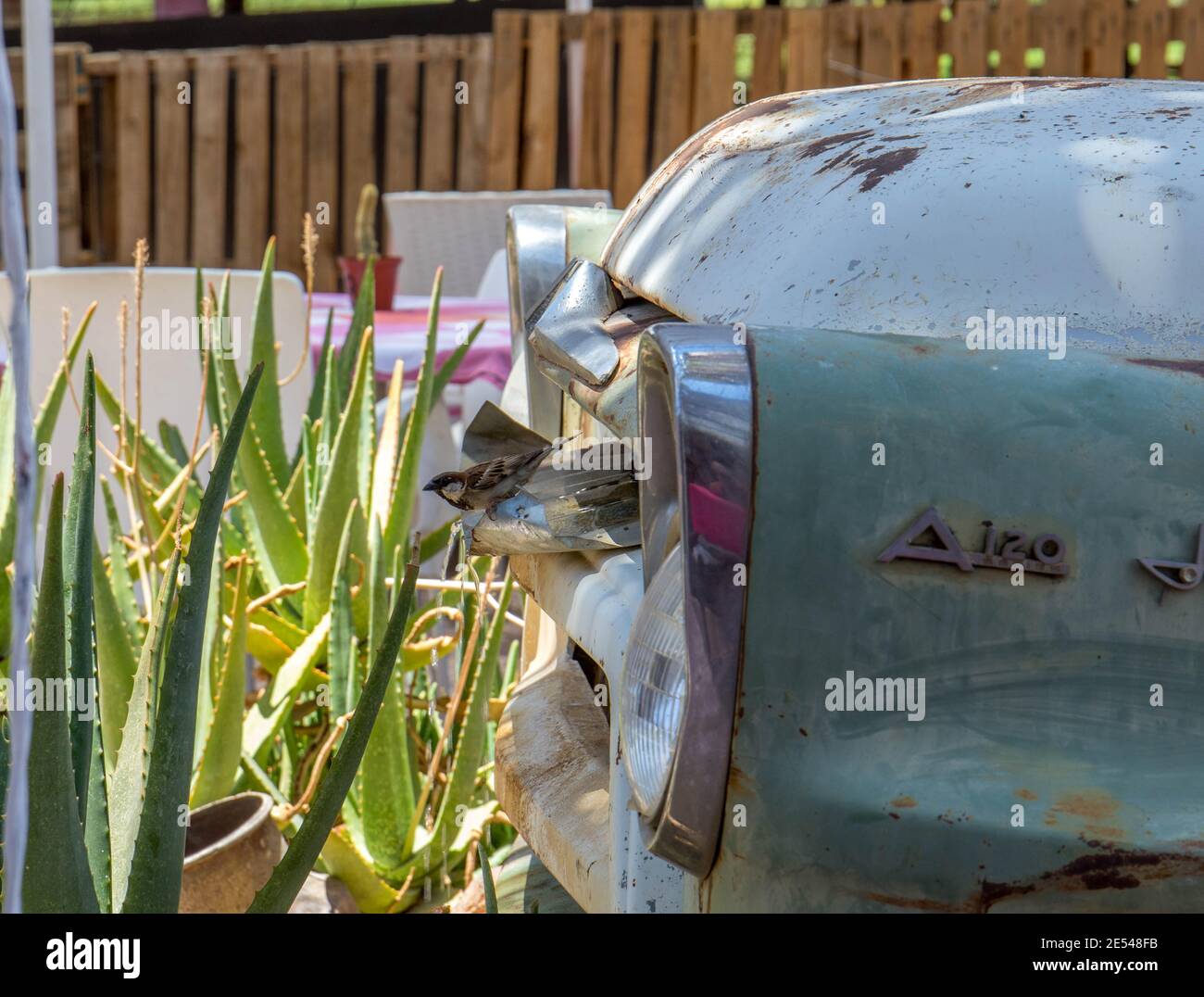 Kakamas, South Africa - Die Pienk Padstal is a roadside stall/cafe ...