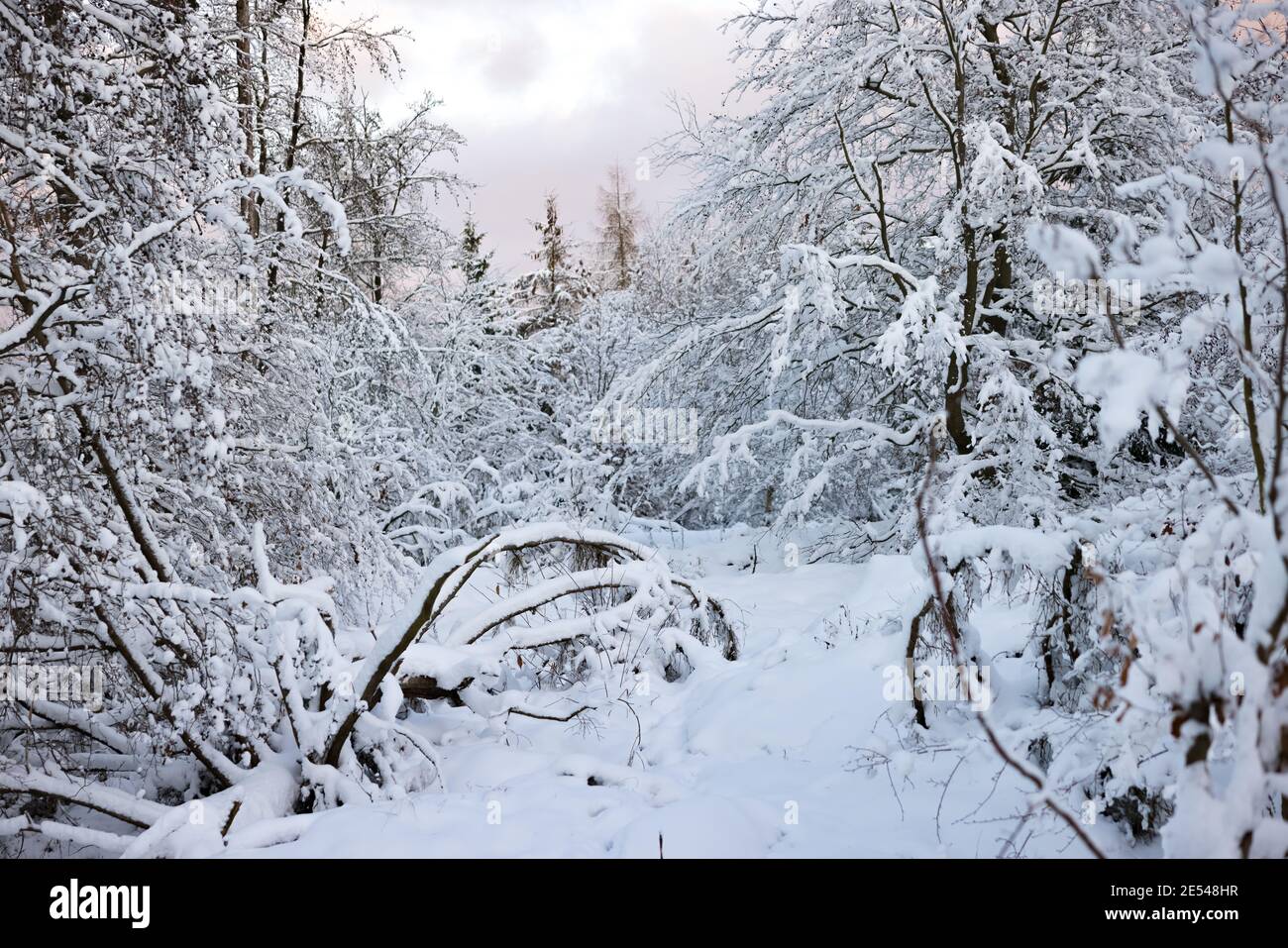 Freezing landscape hi-res stock photography and images - Alamy