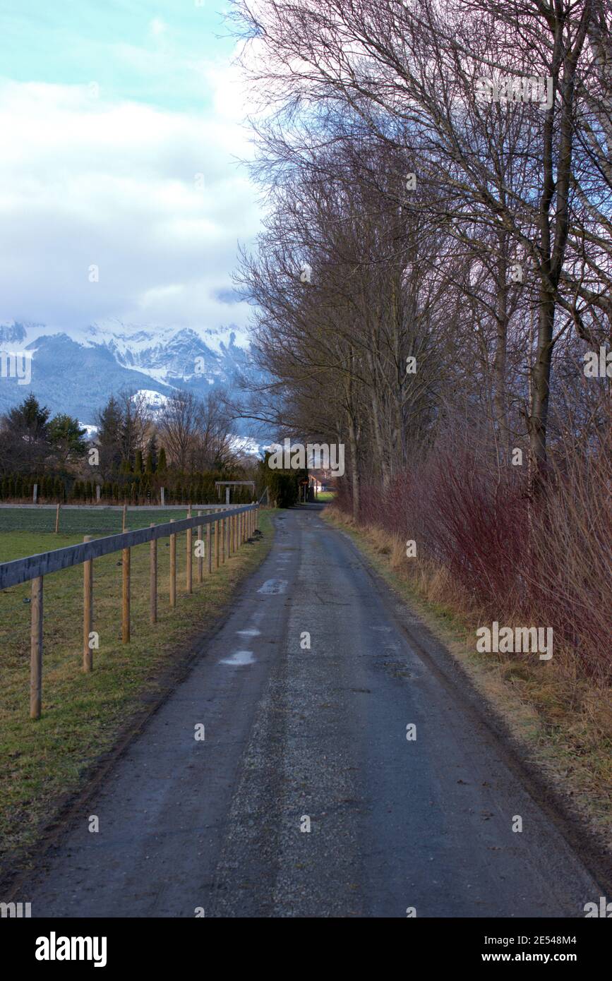 Beautiful landscape on a cold day in Schaan in Liechtenstein 26.12.2020 ...
