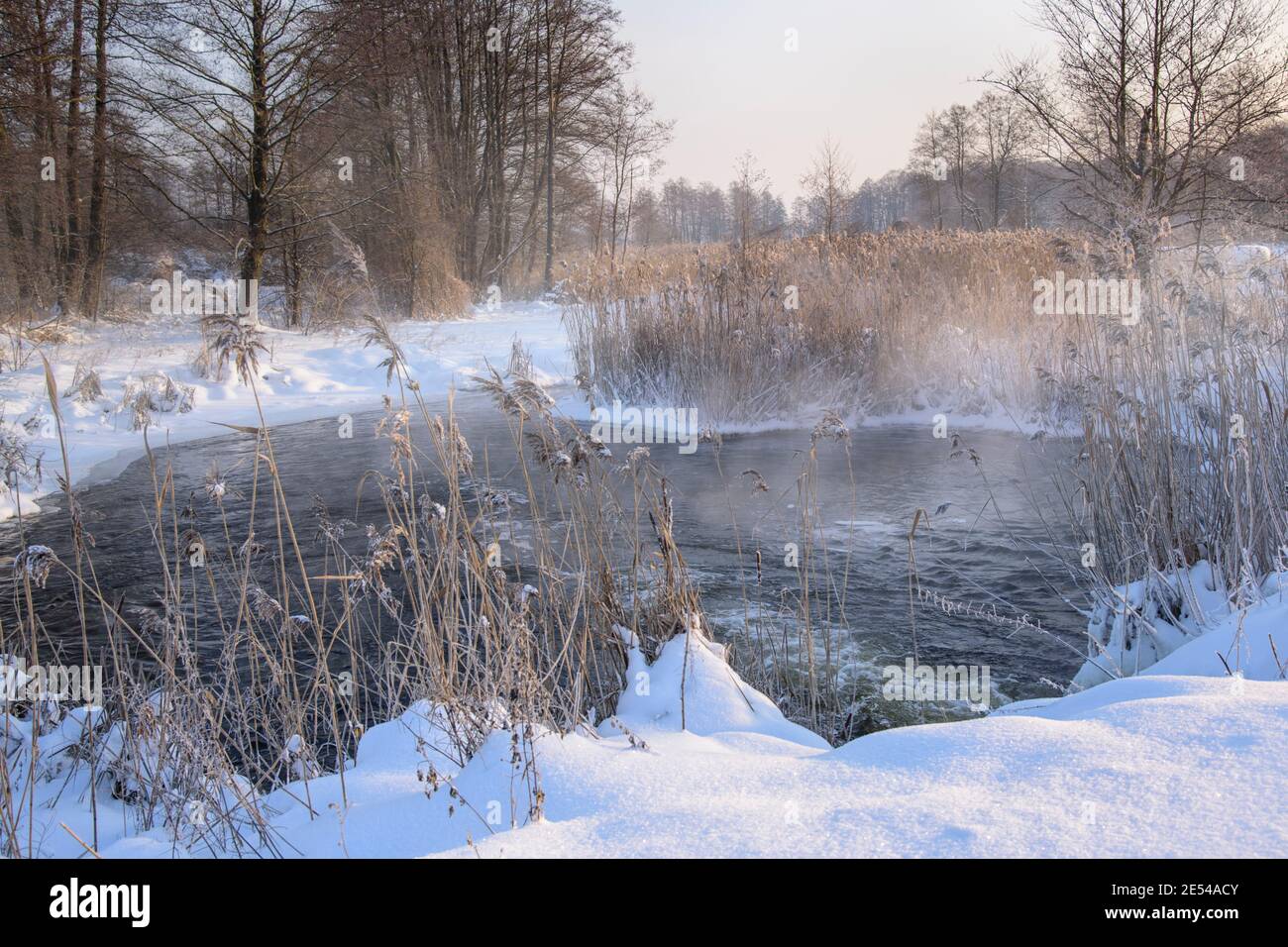 Winter landscape, pond, trees, water, snow, frost, winter, ice, Poland ...