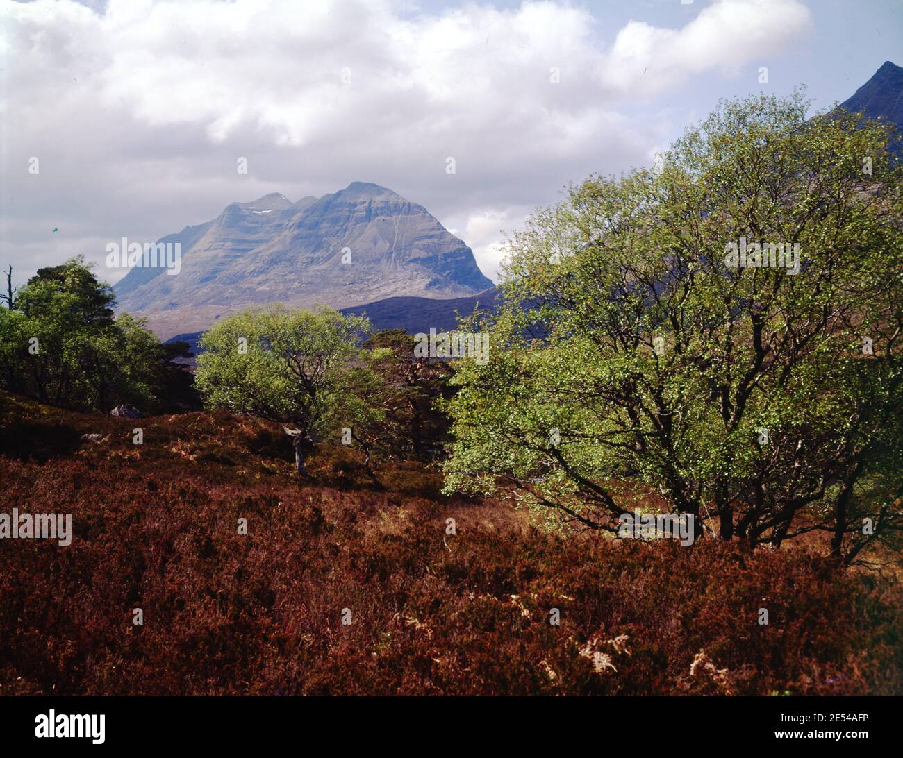 Loch Torridon and Ben Aligin Stock Photo - Alamy