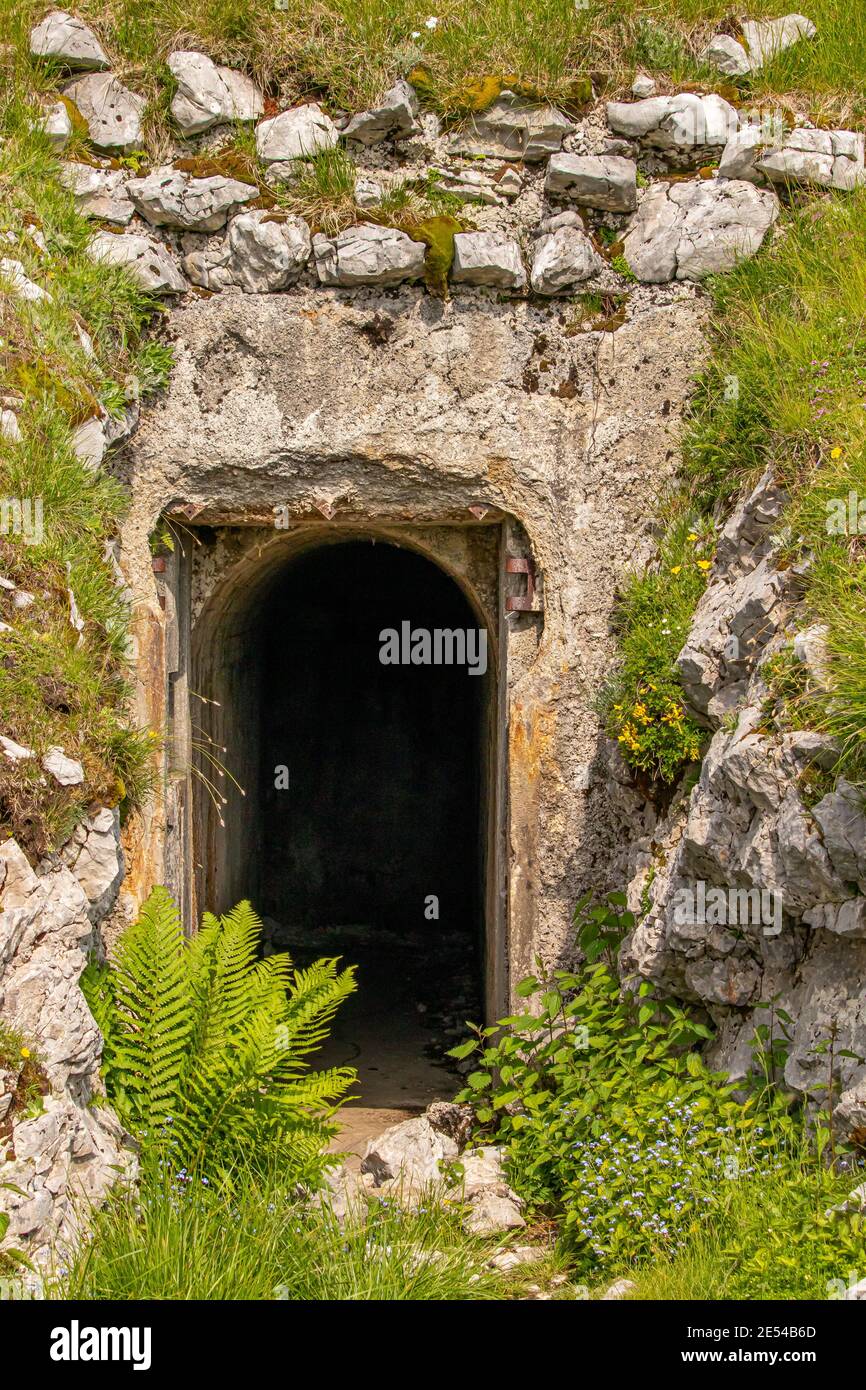 Entrance to old bunker from world war Stock Photo - Alamy