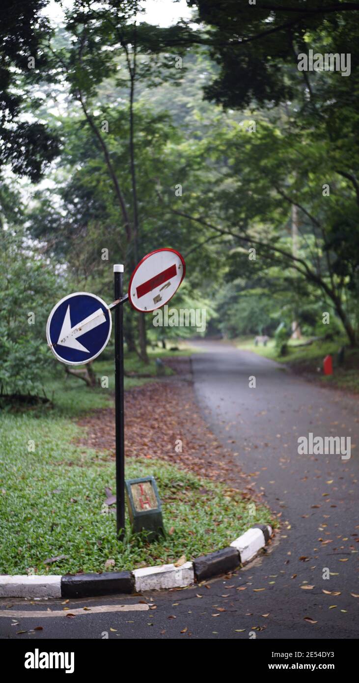 Vertical shot of road signs on a road in a forest captured during the ...