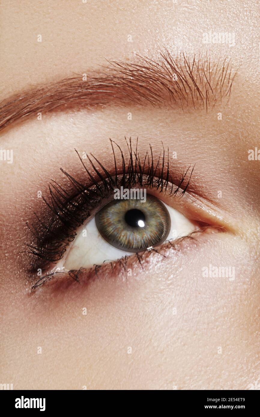 Close-up macro of beautiful female eye with perfect shape eyebrows ...
