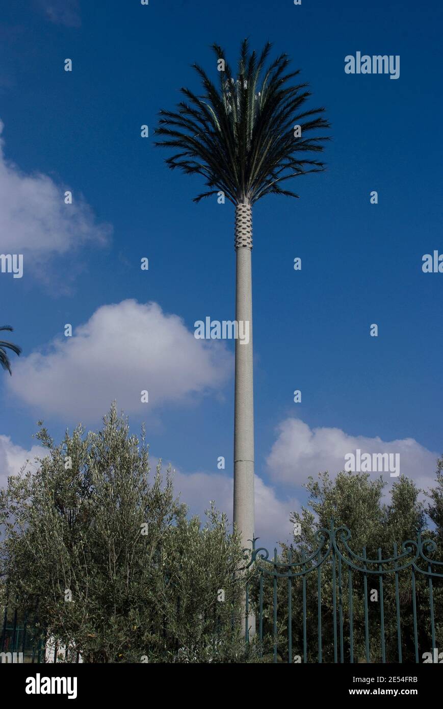 Disguised mast hi-res stock photography and images - Alamy