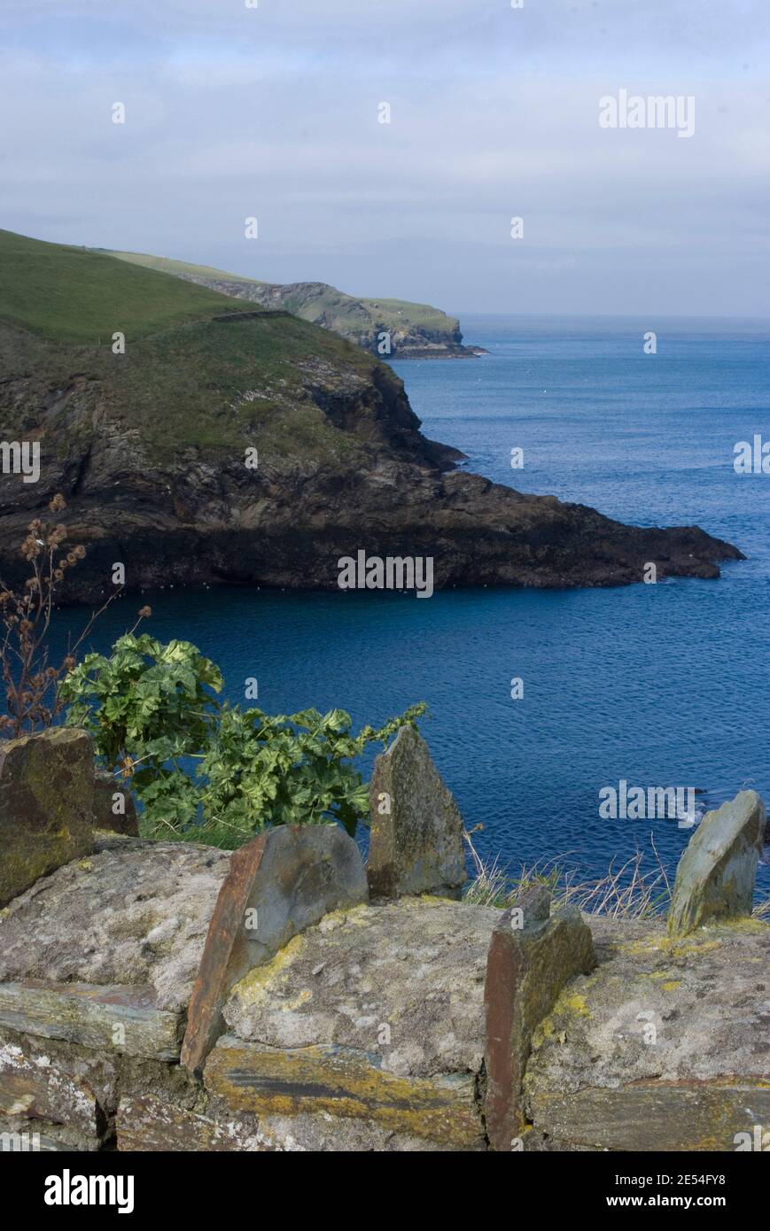 Stone wall overlooking the harbour, Port Isaac, Cornwall, UK Stock ...