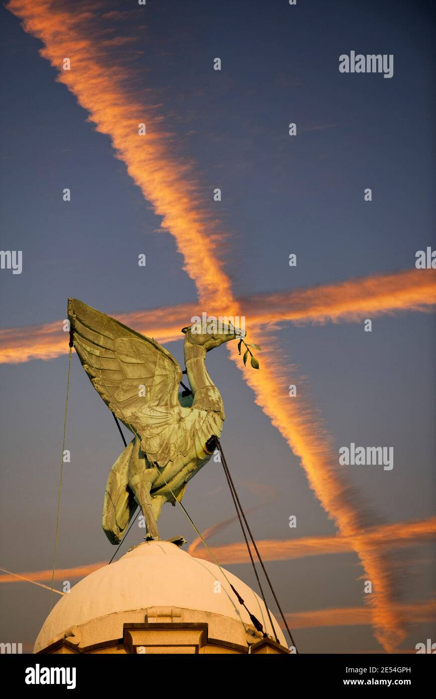 Mythical liver bird hi-res stock photography and images - Alamy