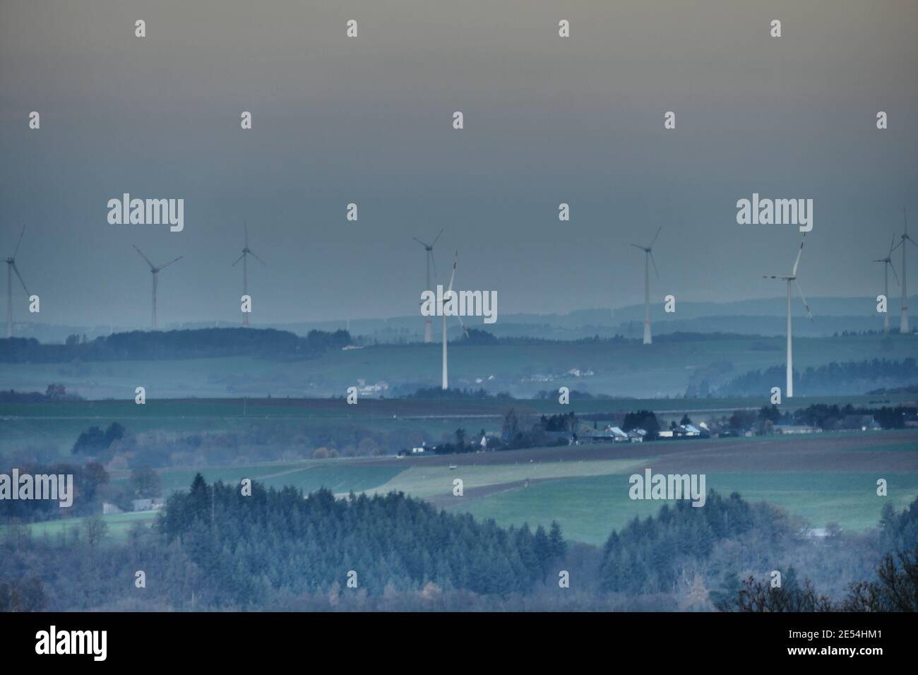 Pinwheel trees hi-res stock photography and images - Alamy