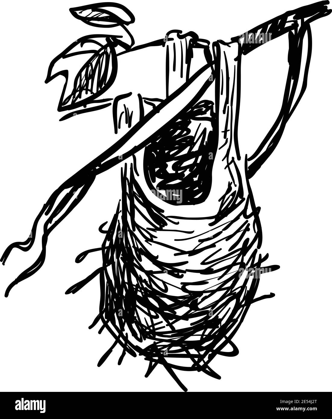 Vector illustration of bird nest isolated on white background. stock ...