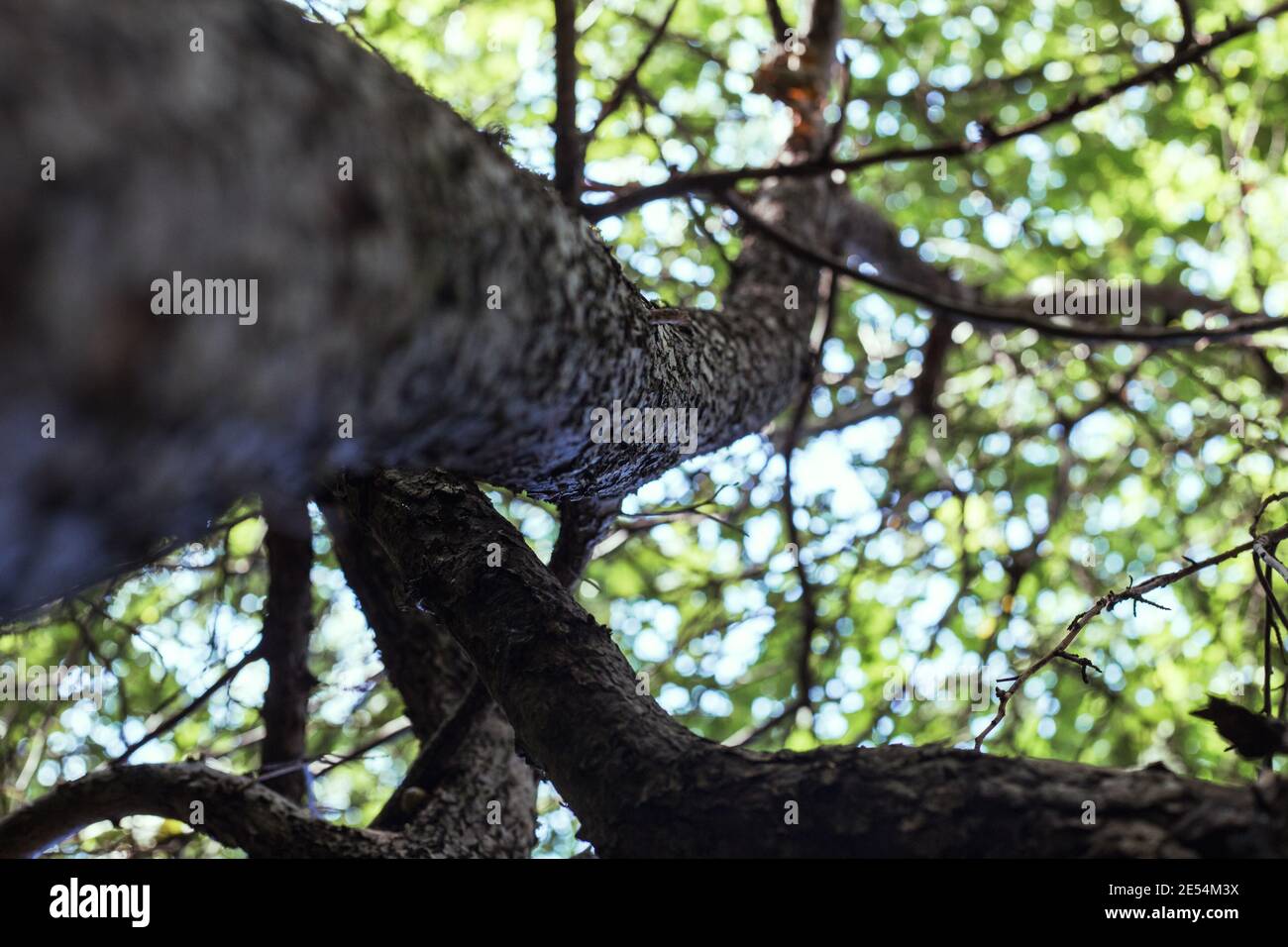 Strong sky moody sky hi-res stock photography and images - Alamy
