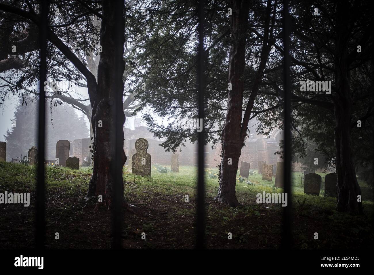 Foggy eerie graveyard mist creepy fog around headstones grave stones ...