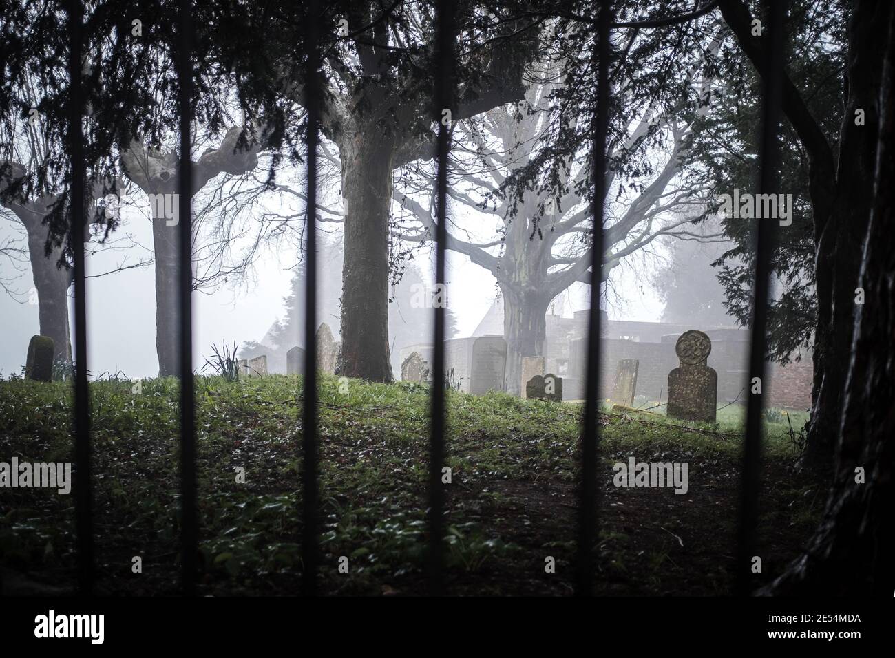 Foggy eerie graveyard mist creepy fog around headstones grave stones ...