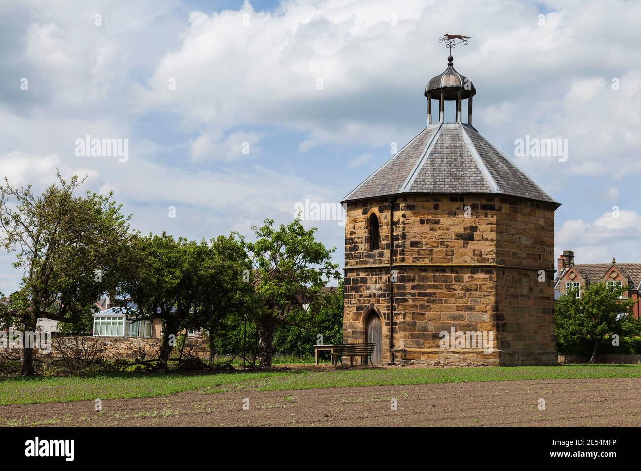 Dovecot and pigeons hi-res stock photography and images - Alamy
