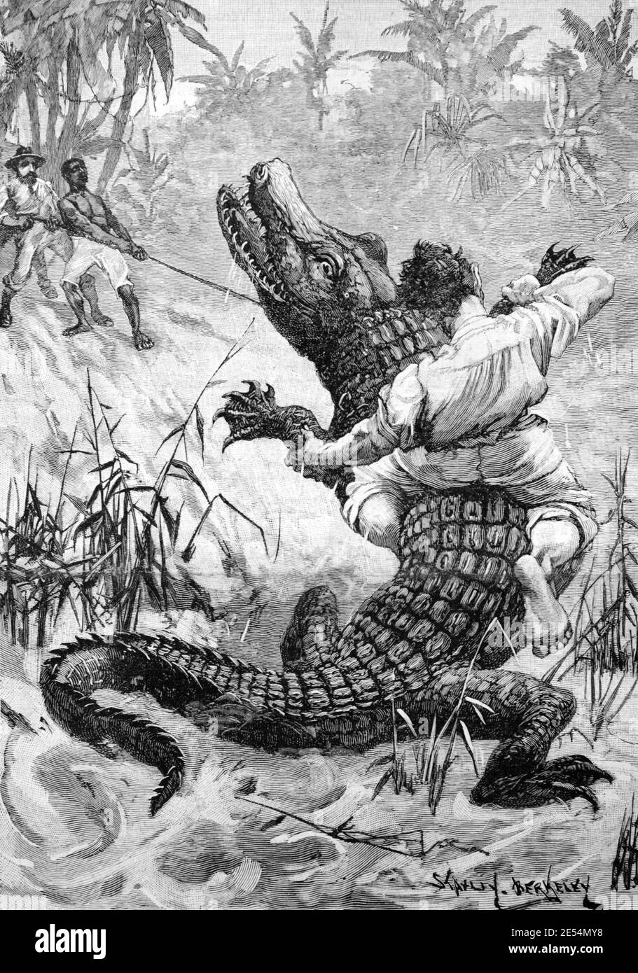 Crocodile hunters hi-res stock photography and images - Alamy