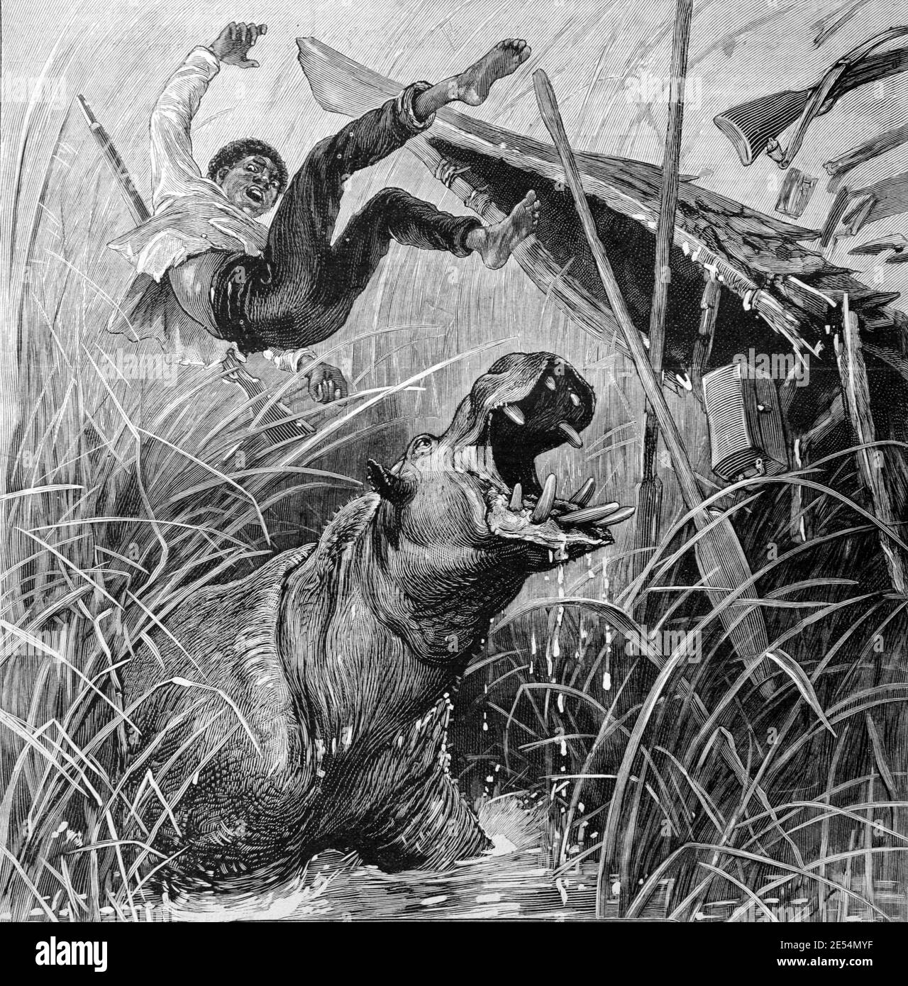 Hunter hunt hi-res stock photography and images - Alamy